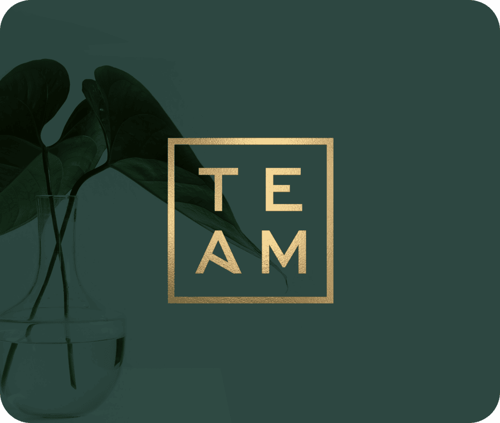 About Us - TEAM